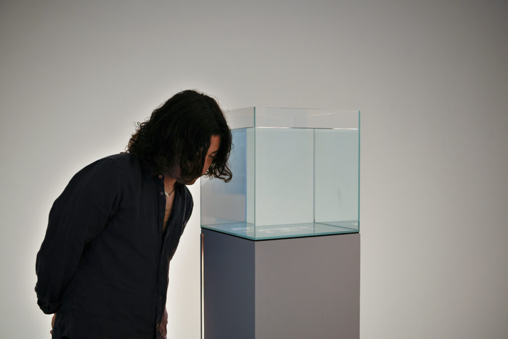 Nadia Botello: Theophany – Contemporary at Blue Star